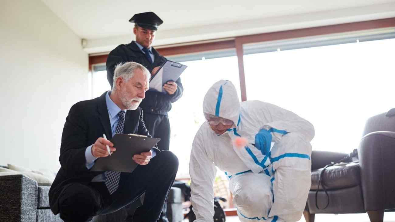 Neurocriminology: Understanding the Criminal Mind to Predict and ...